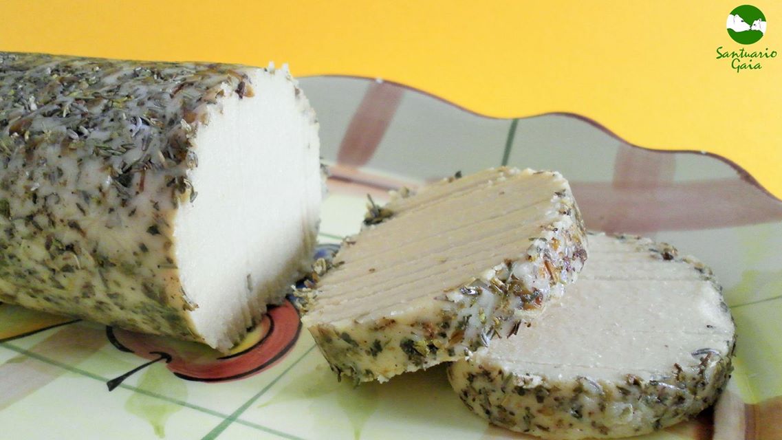 Queso vegano a las finas hierbas | Santuario Gaia Queso vegano a las finas hierbas | Santuario Gaia